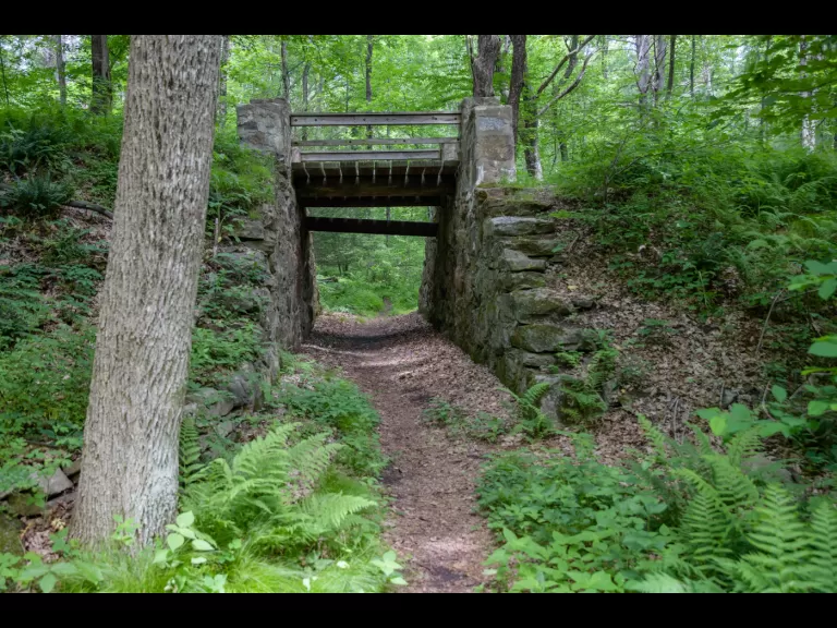 Walkup and Robinson Memorial Conservation Area | Sudbury Valley Trustees